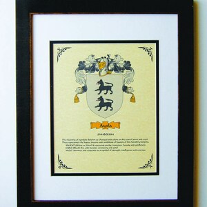 HERALDRY COAT of ARMS Ayala Family Crest Framed - Etsy