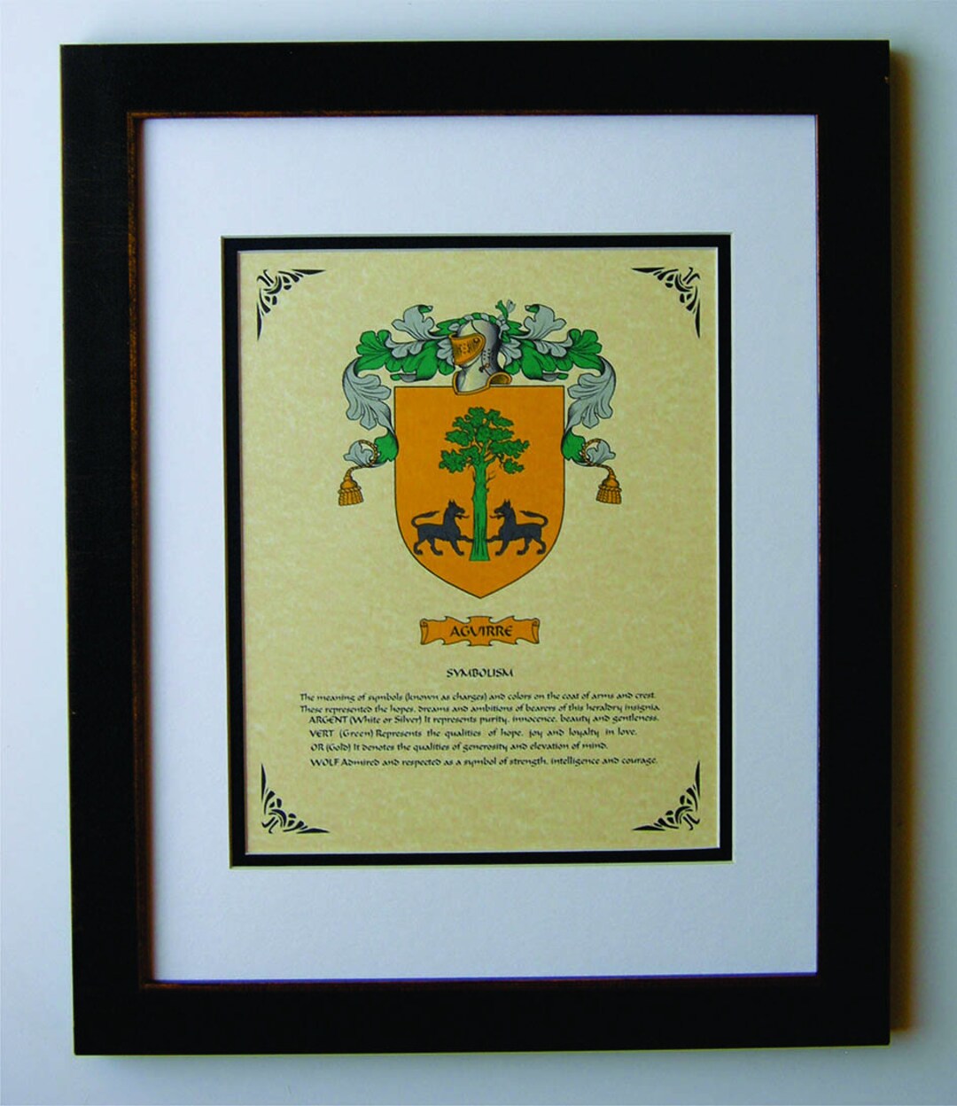 HERALDRY COAT of ARMS Aguirre Family Crest Framed - Etsy
