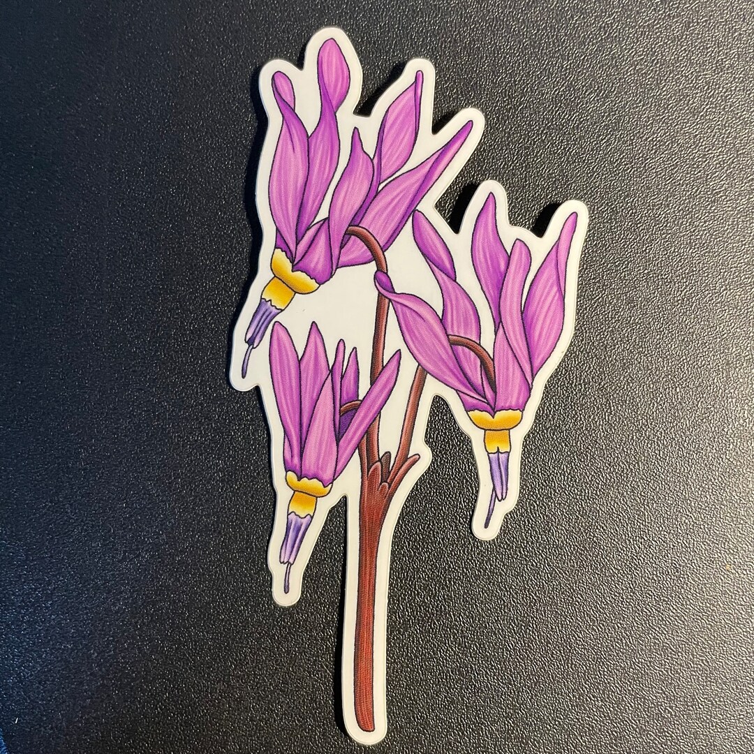 Shooting Star Sticker - Etsy