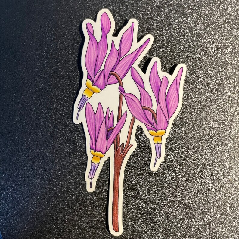 Shooting Star Sticker - Etsy