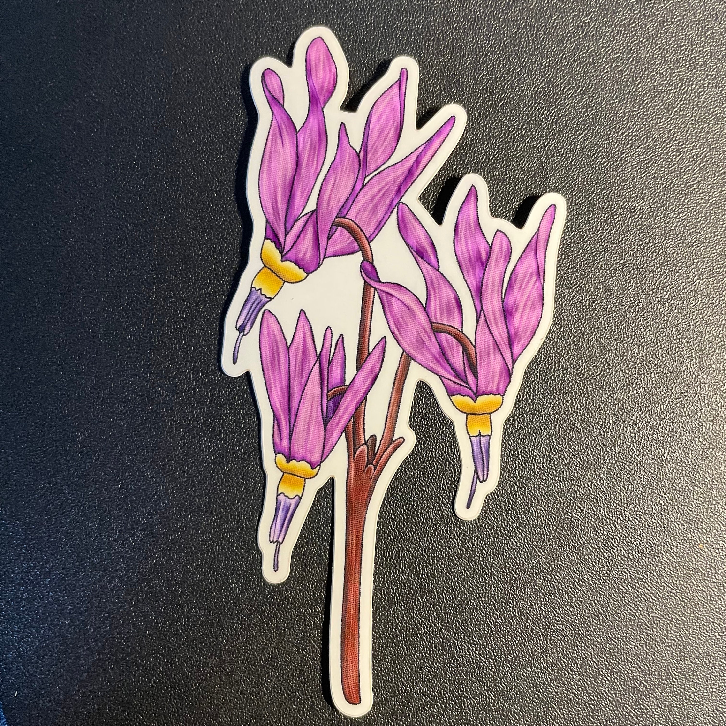 Shooting Star Sticker - Etsy