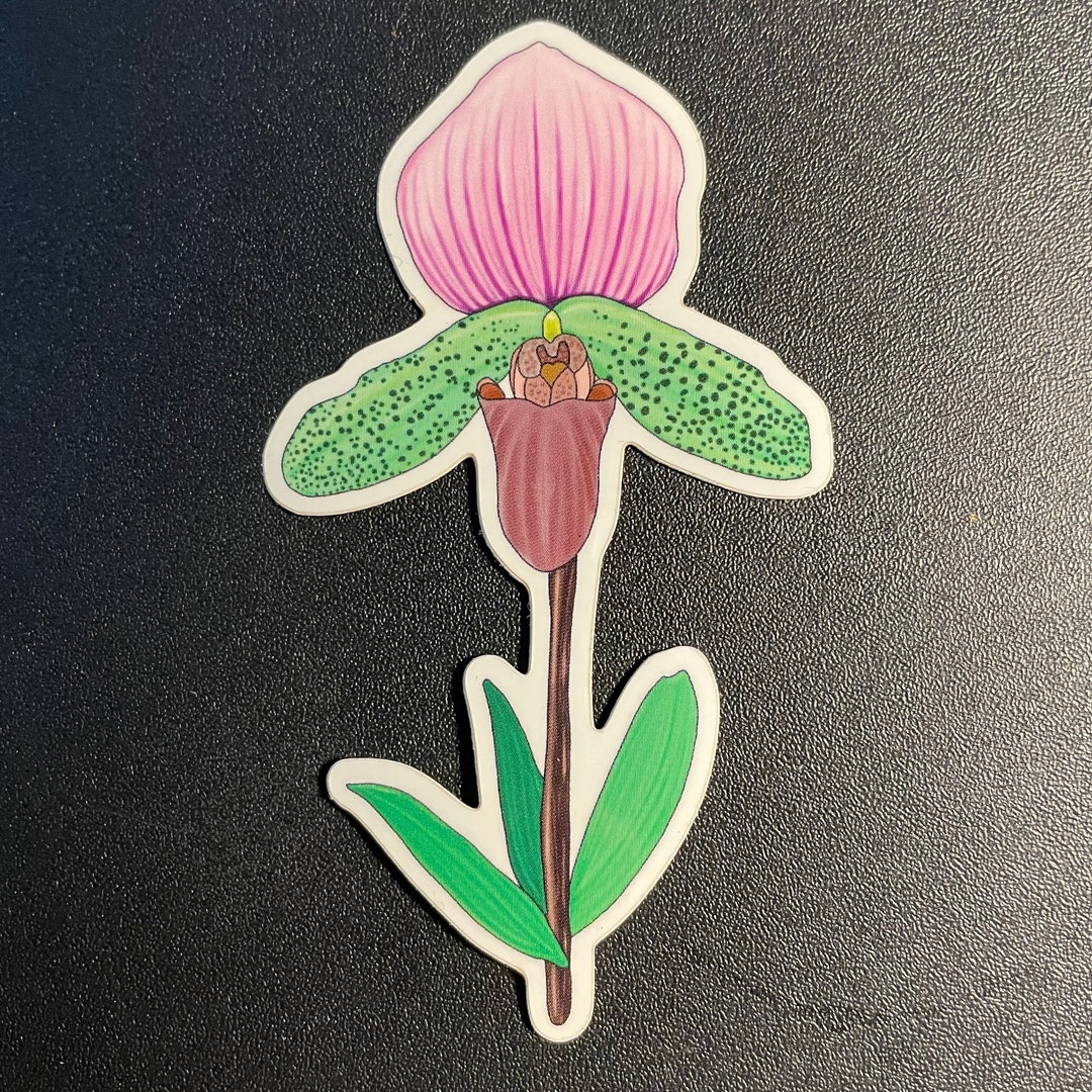 Lady Slipper Sticker - Etsy