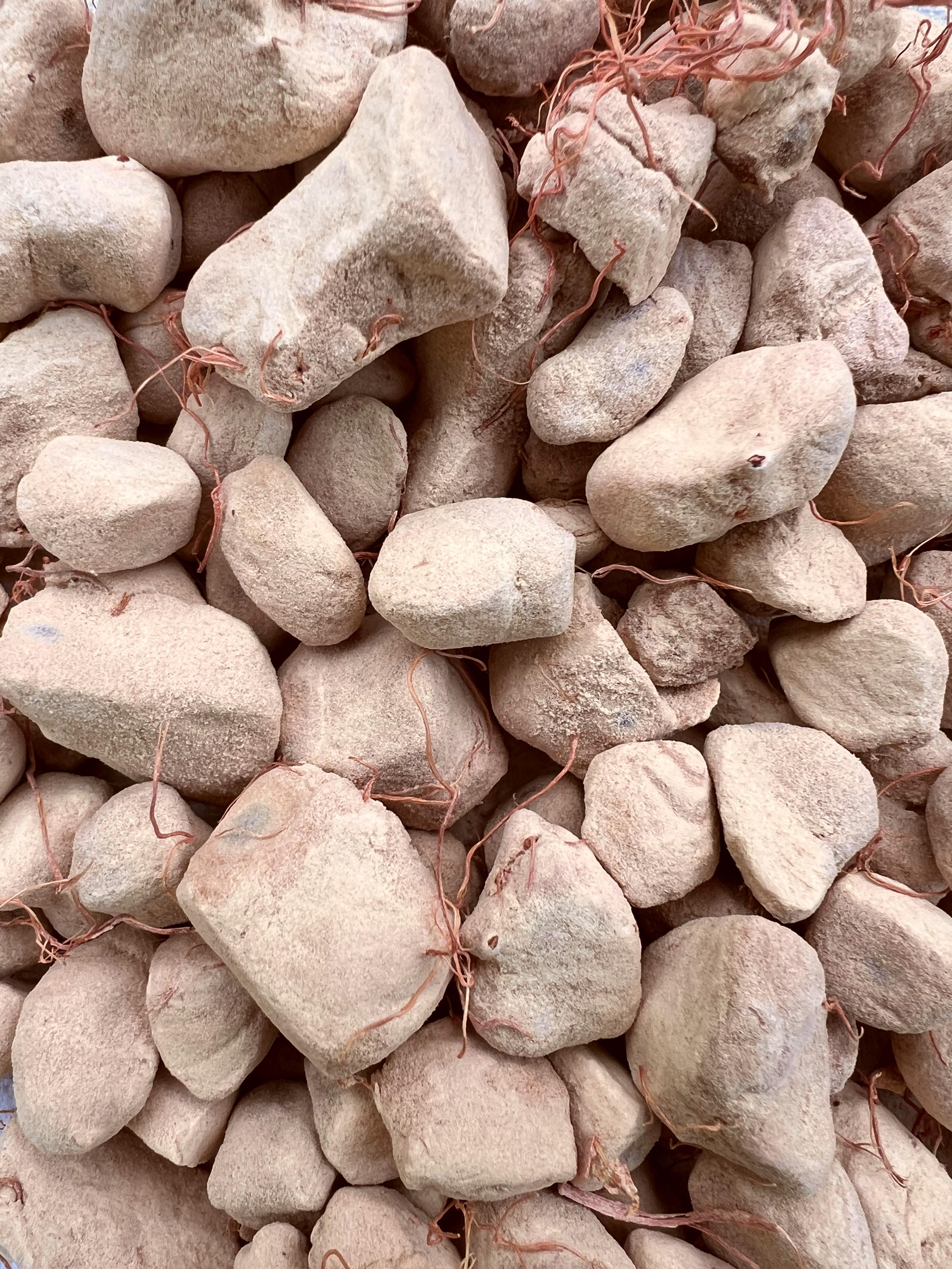 Raw African Baobab Fruit & Seeds - Etsy