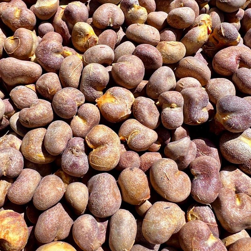 Rare Seeds - Etsy