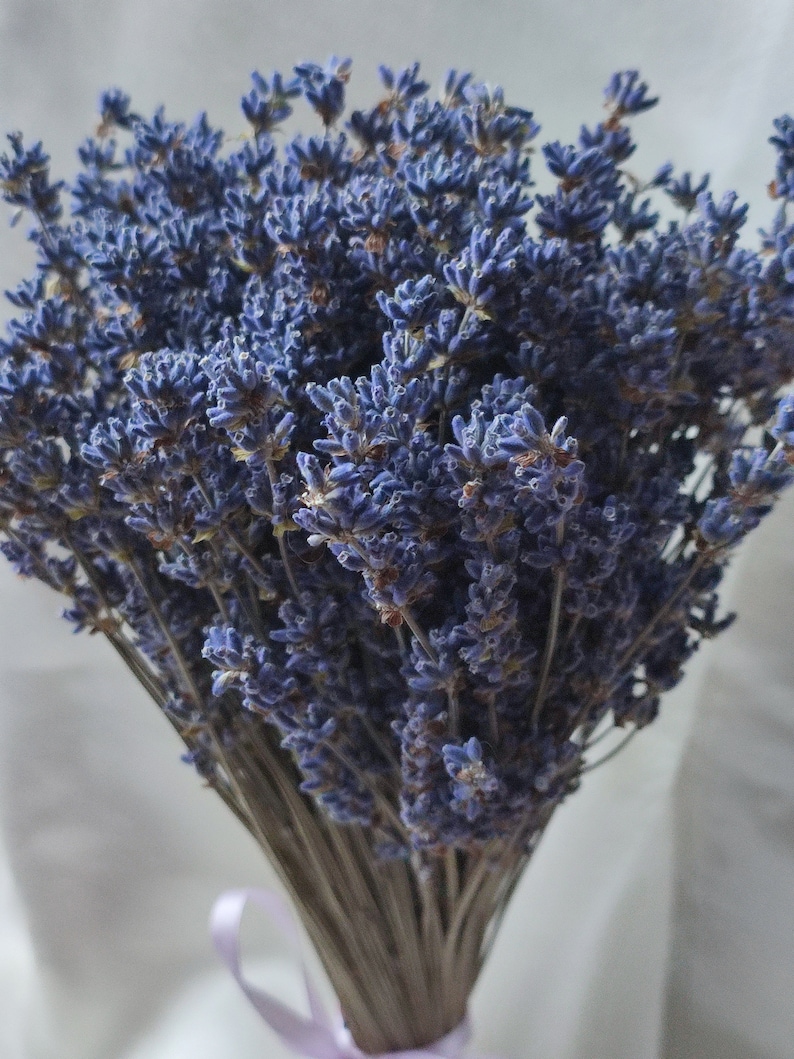 200 Stem Dried Lavender Bouquet - Natural Wedding Home Decor - Etsy