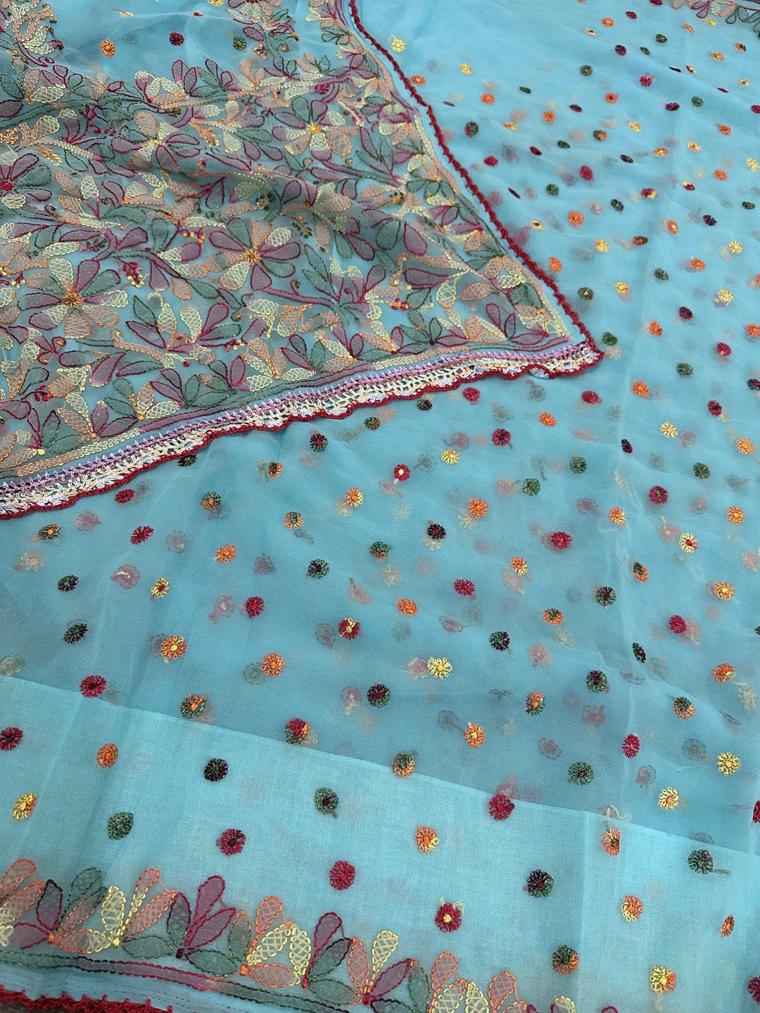 Sky Blue Lucknow Chikankari Saree / Hand Embroidery /free Shipping in ...