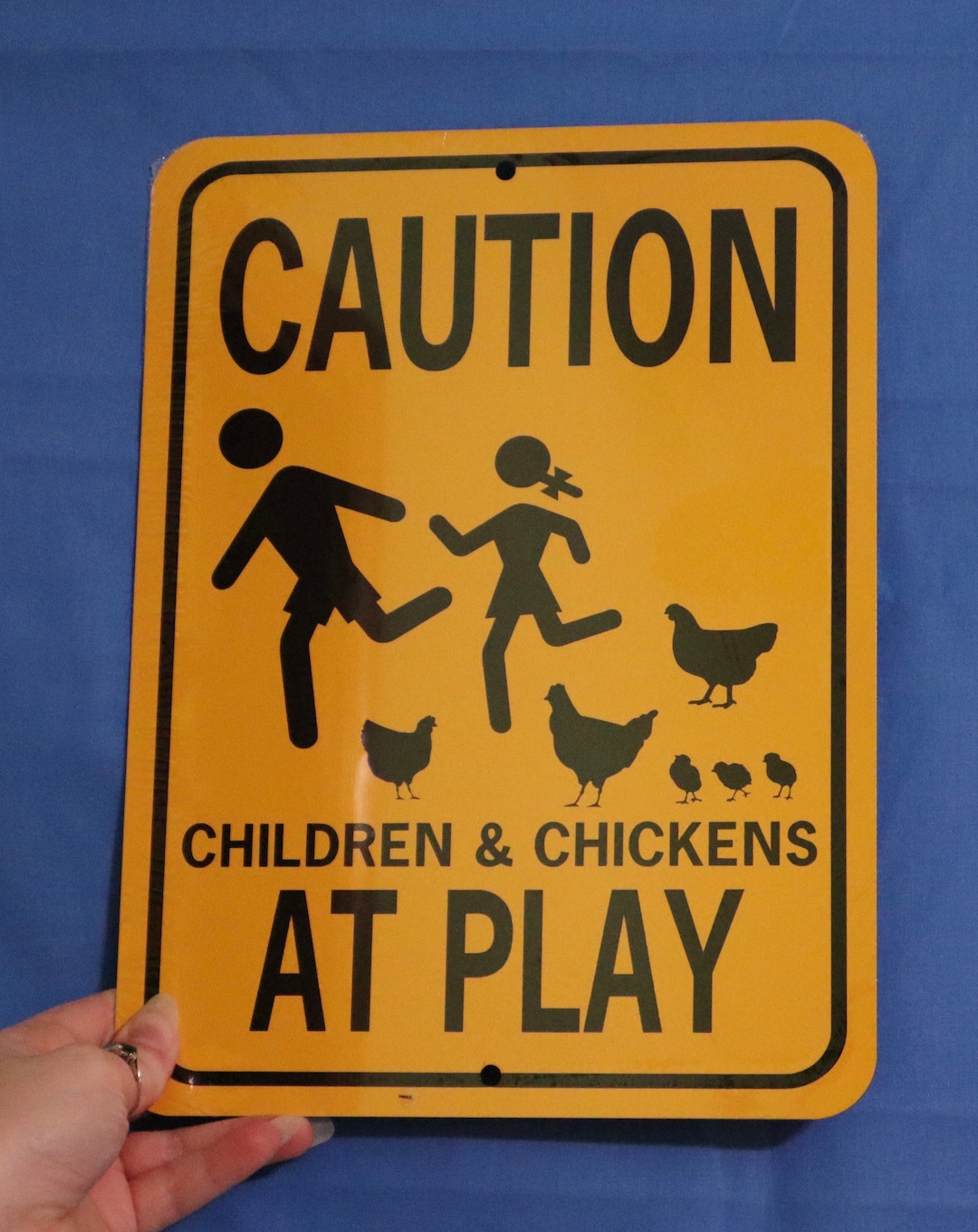 9x12 (smaller) Caution Children and Chickens at Play Sign Aluminum - Etsy