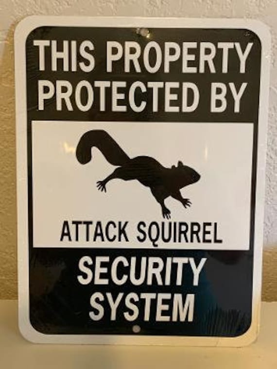 This Property Protected by Attack Squirrel Security System | Etsy