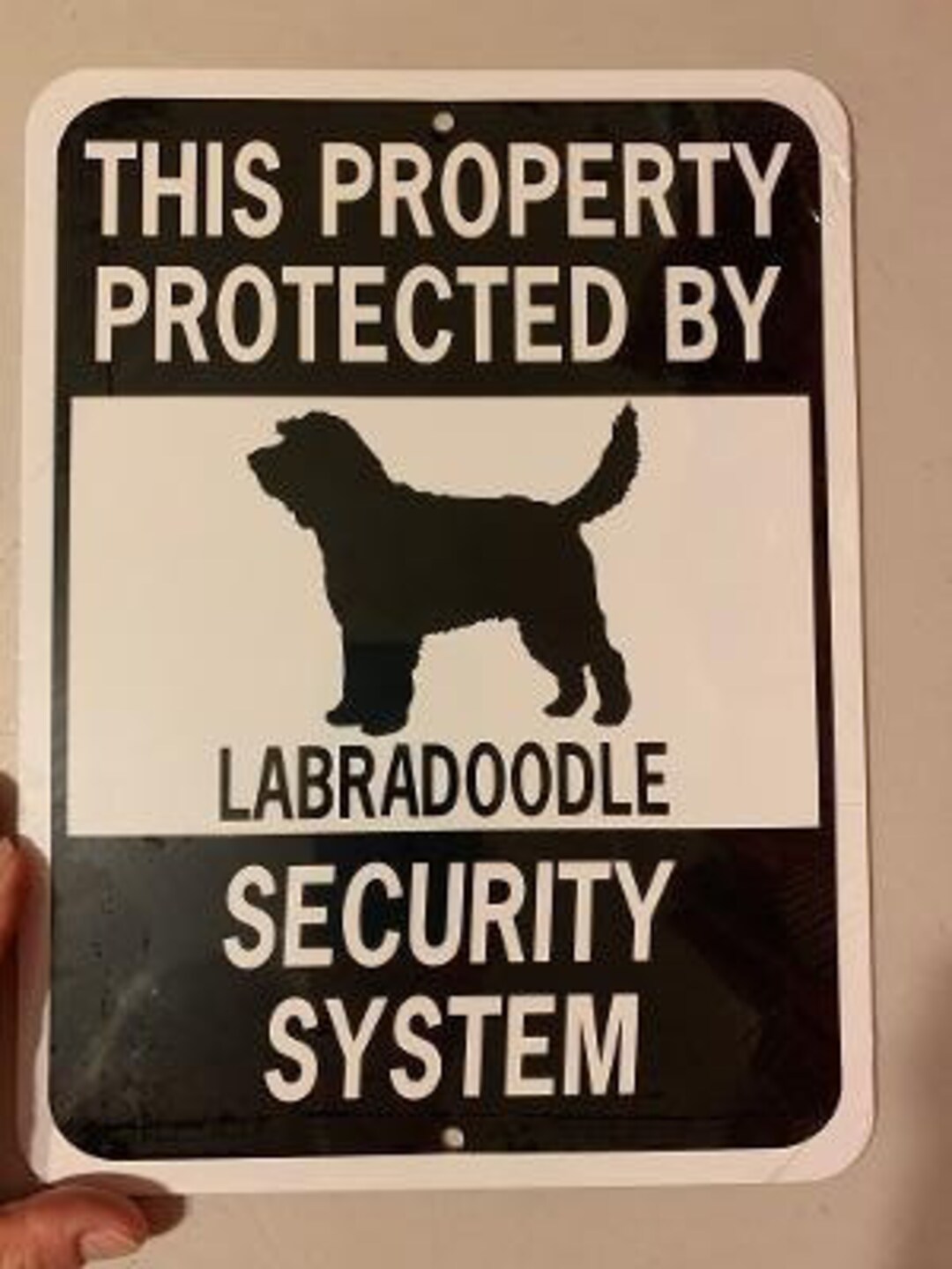 Labradoodle (labrador X Poodle) Funny Aluminum Yard Sign Designs - Etsy