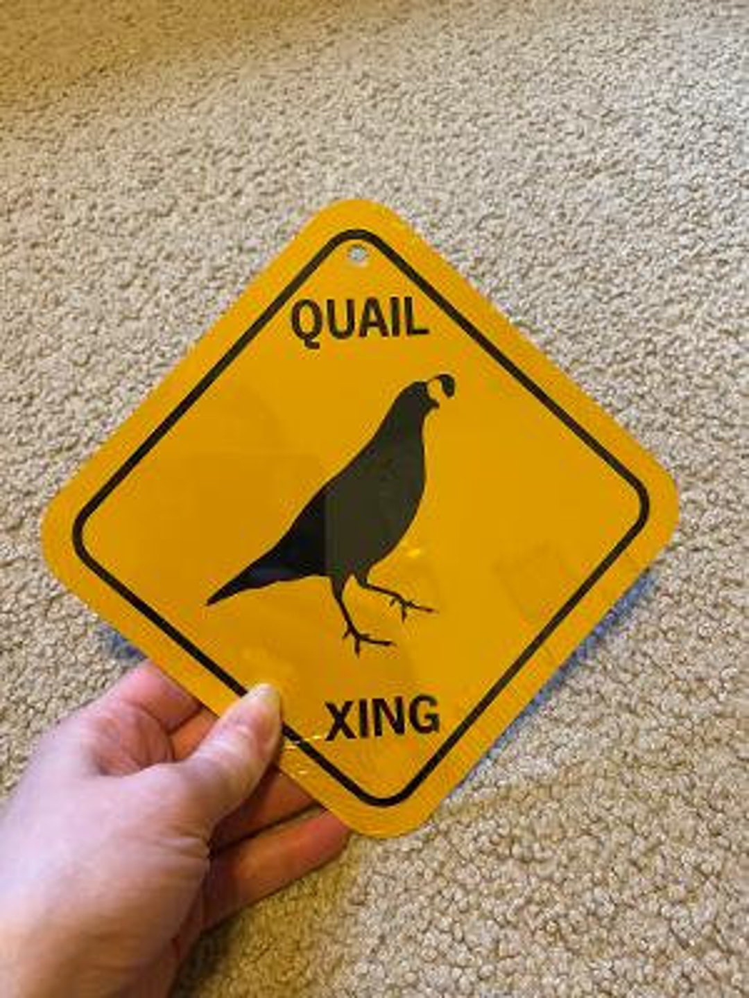Quail Xing 6x6 Inch Small Funny Aluminum Crossing Sign - Etsy