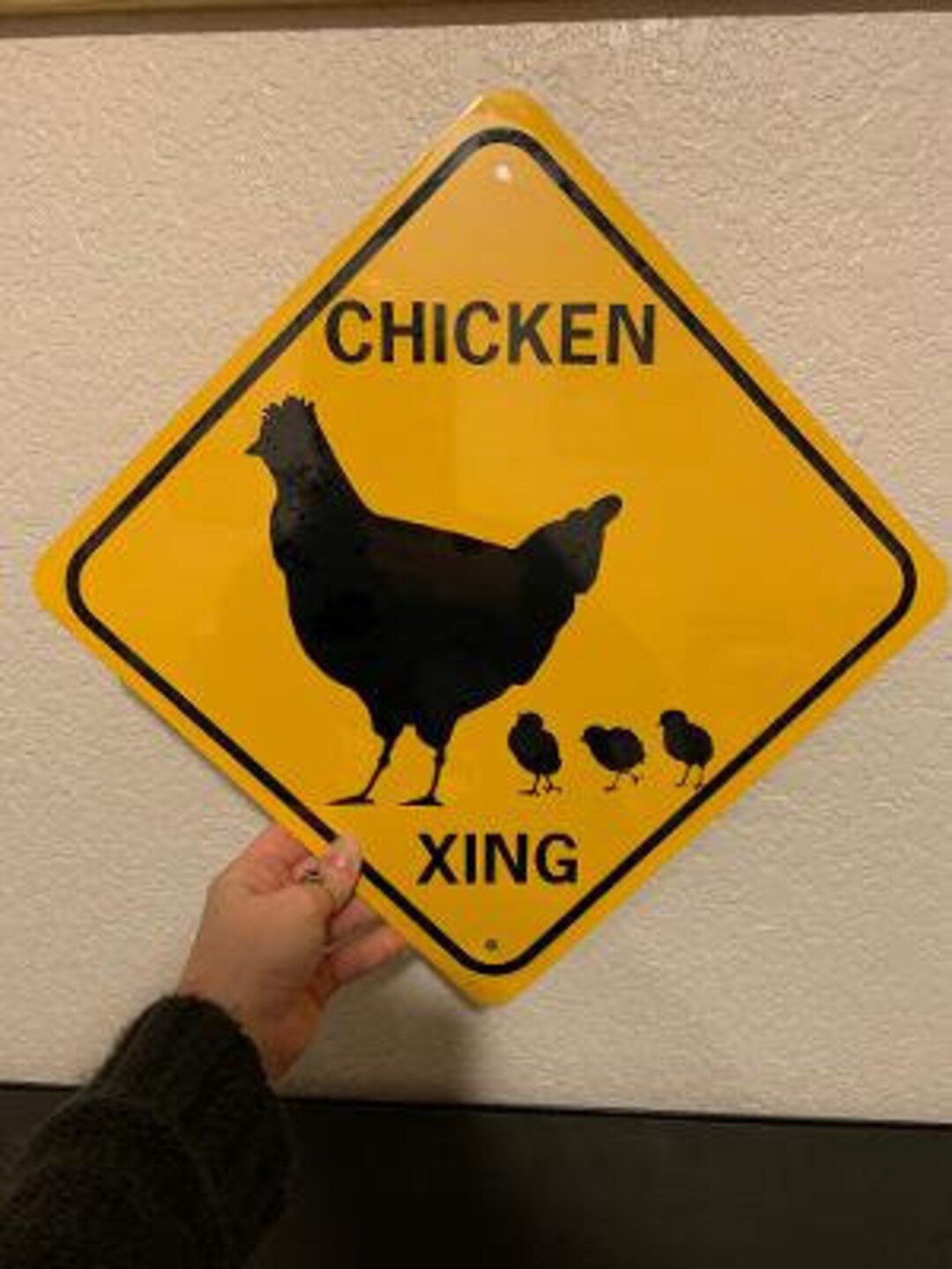 Chicken Xing Funny Sign Aluminum Hen & Babies - Etsy