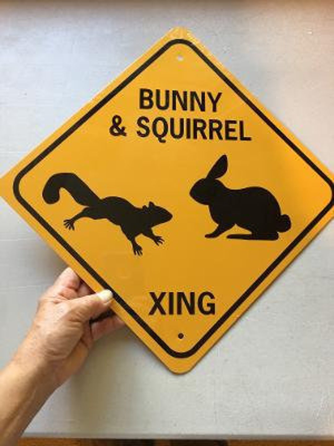 Squirrel and Bunny Funny Crossing Sign - Etsy