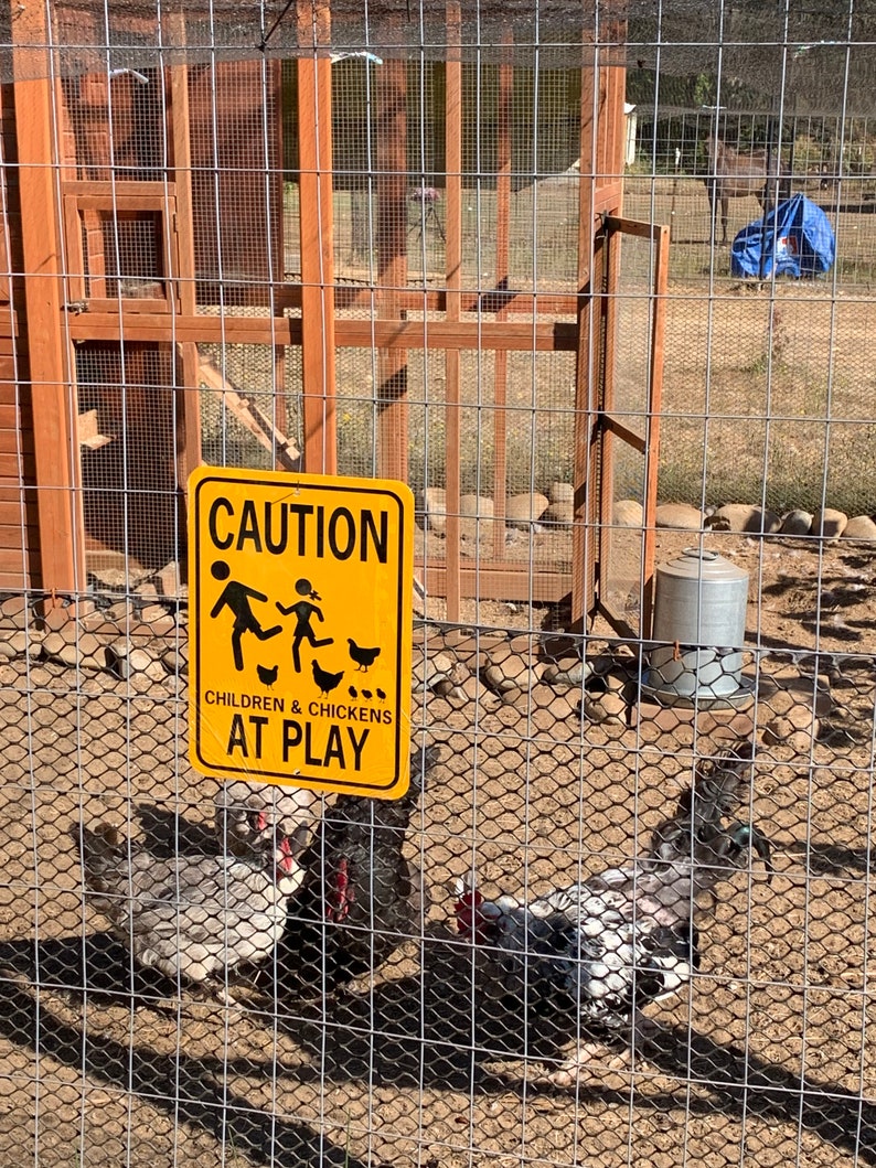 Caution Children and Chickens at Play Sign Aluminum | Etsy