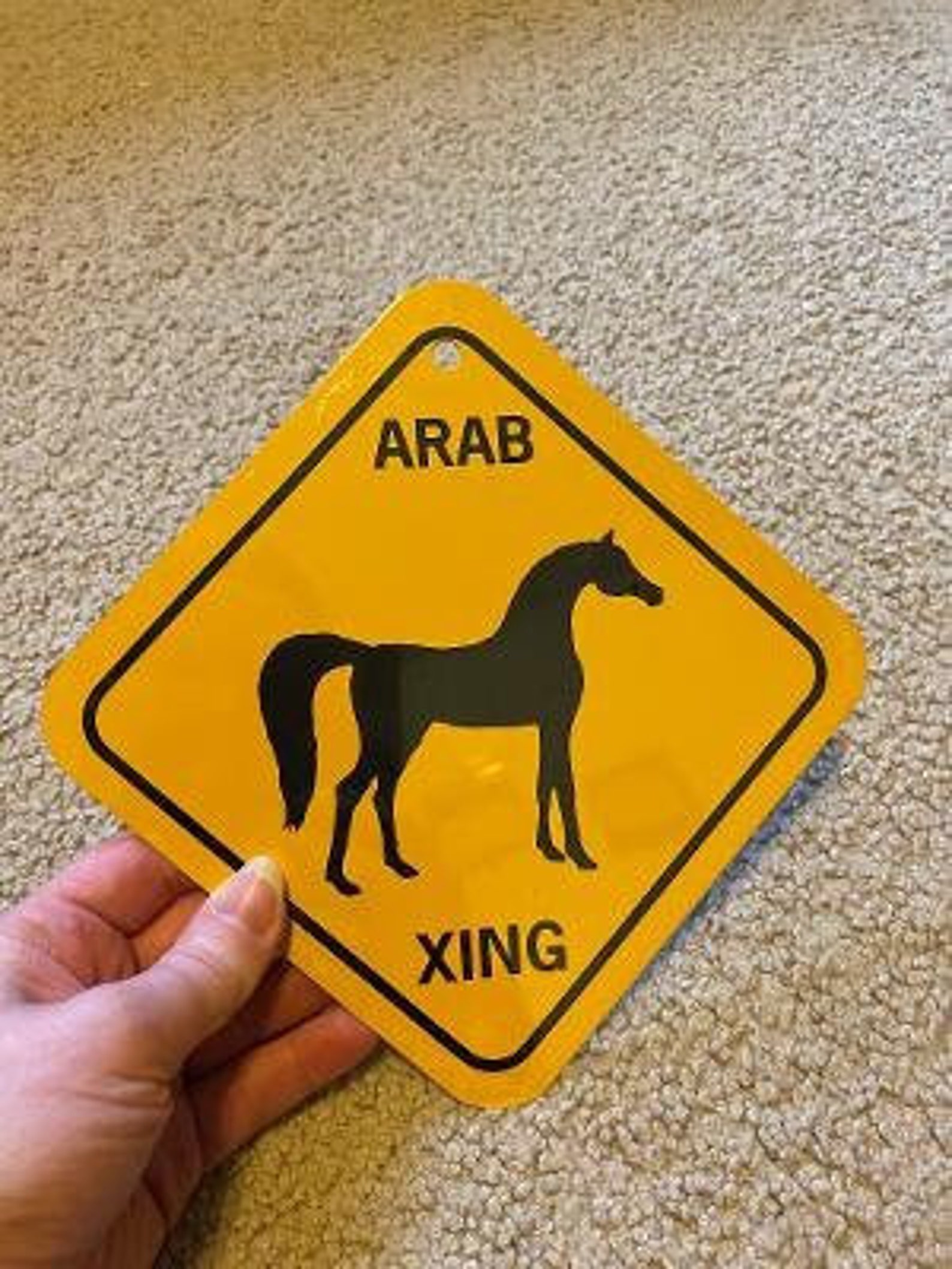 Arab Xing 6x6 Inch Small Arabian Horse Aluminum Crossing Sign - Etsy