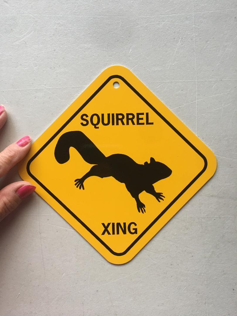 Squirrel Xing 6x6 Inch Small Funny Aluminum Crossing Sign | Etsy