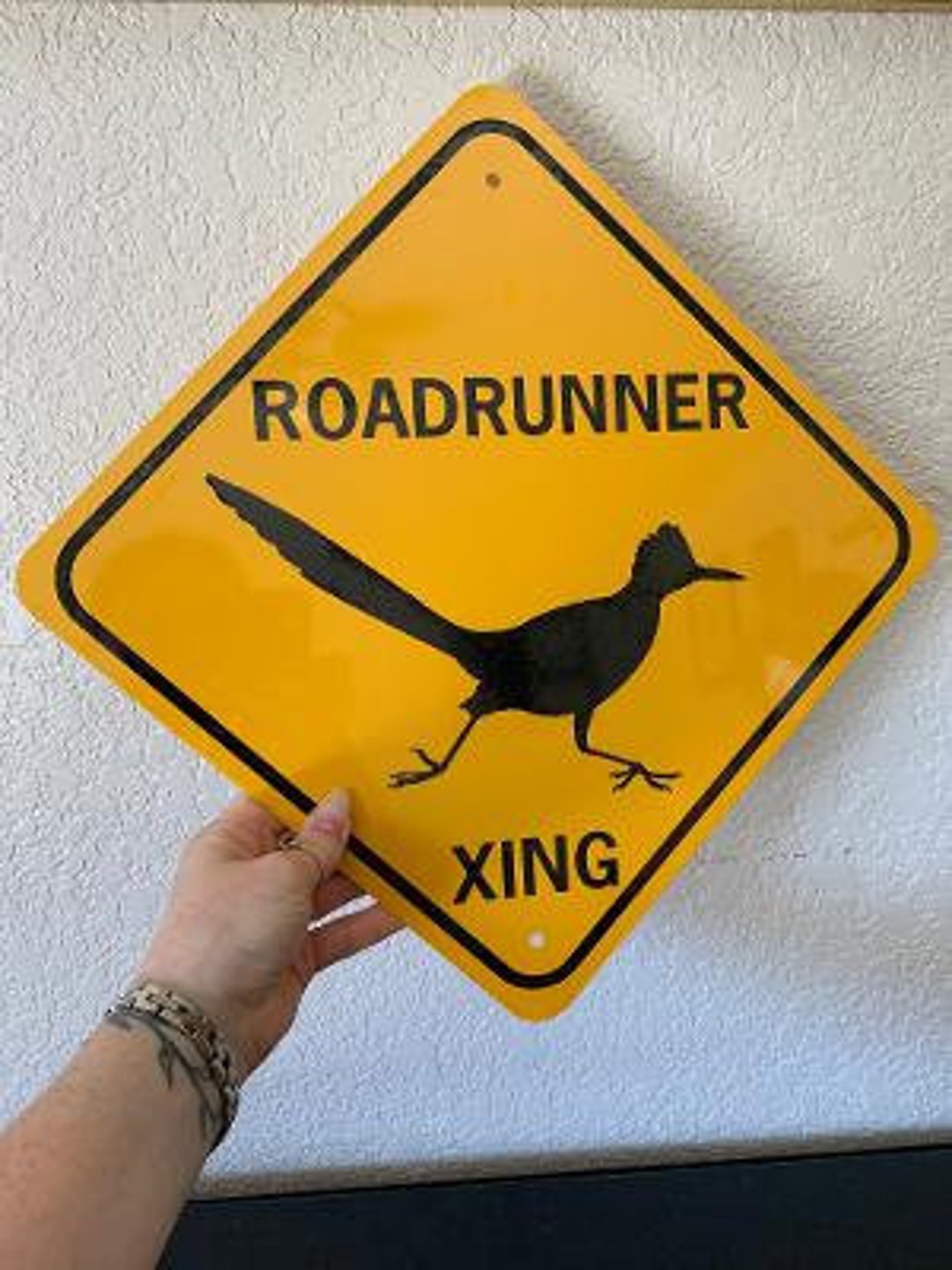 Roadrunner Xing Aluminum Bird Crossing Sign - Etsy