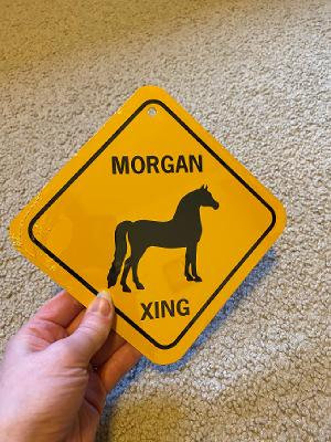 Morgan Xing 6x6 Inch Small Morgan Horse Aluminum Crossing Sign - Etsy