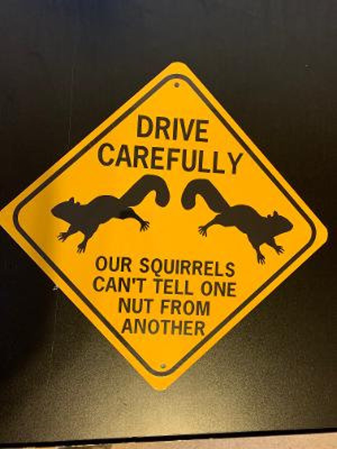 Conduzca con cuidado Nuestras ardillas no pueden distinguir una nuez de ...