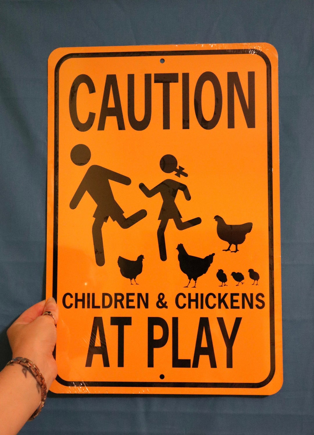 Caution Children and Chickens at Play Sign Aluminum - Etsy