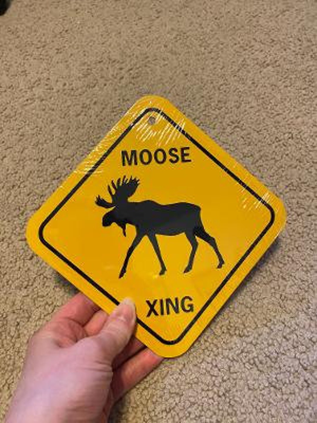Moose Xing 6x6 Inch Small Funny Aluminum Crossing Sign - Etsy