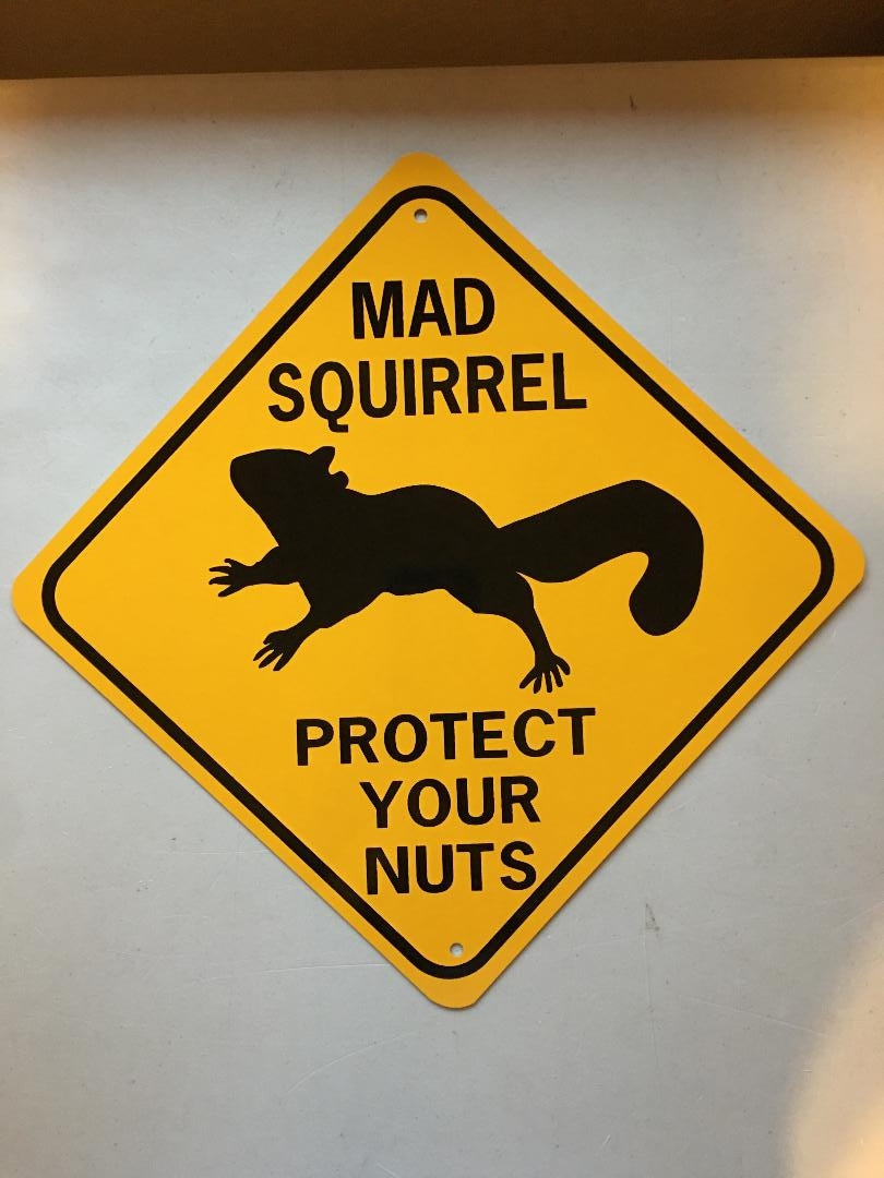 Mad Squirrel Protect Your Nuts Funny Aluminum Sign | Etsy