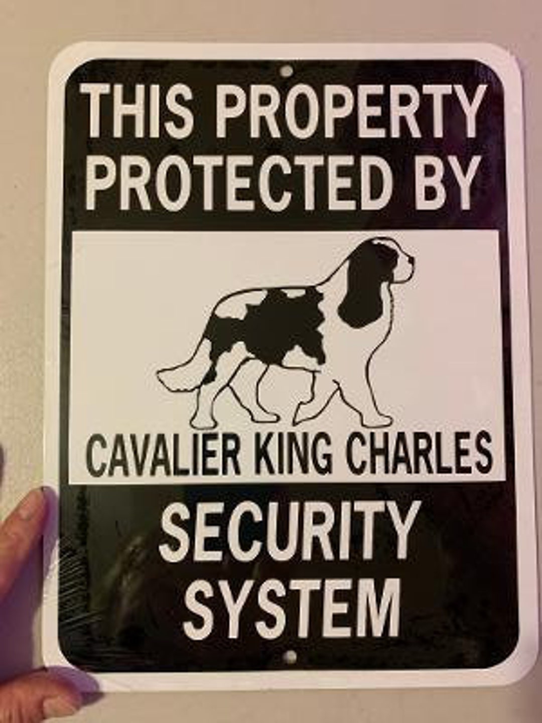 Cavalier King Charles Spaniel Funny Aluminum Yard Sign Designs - Etsy