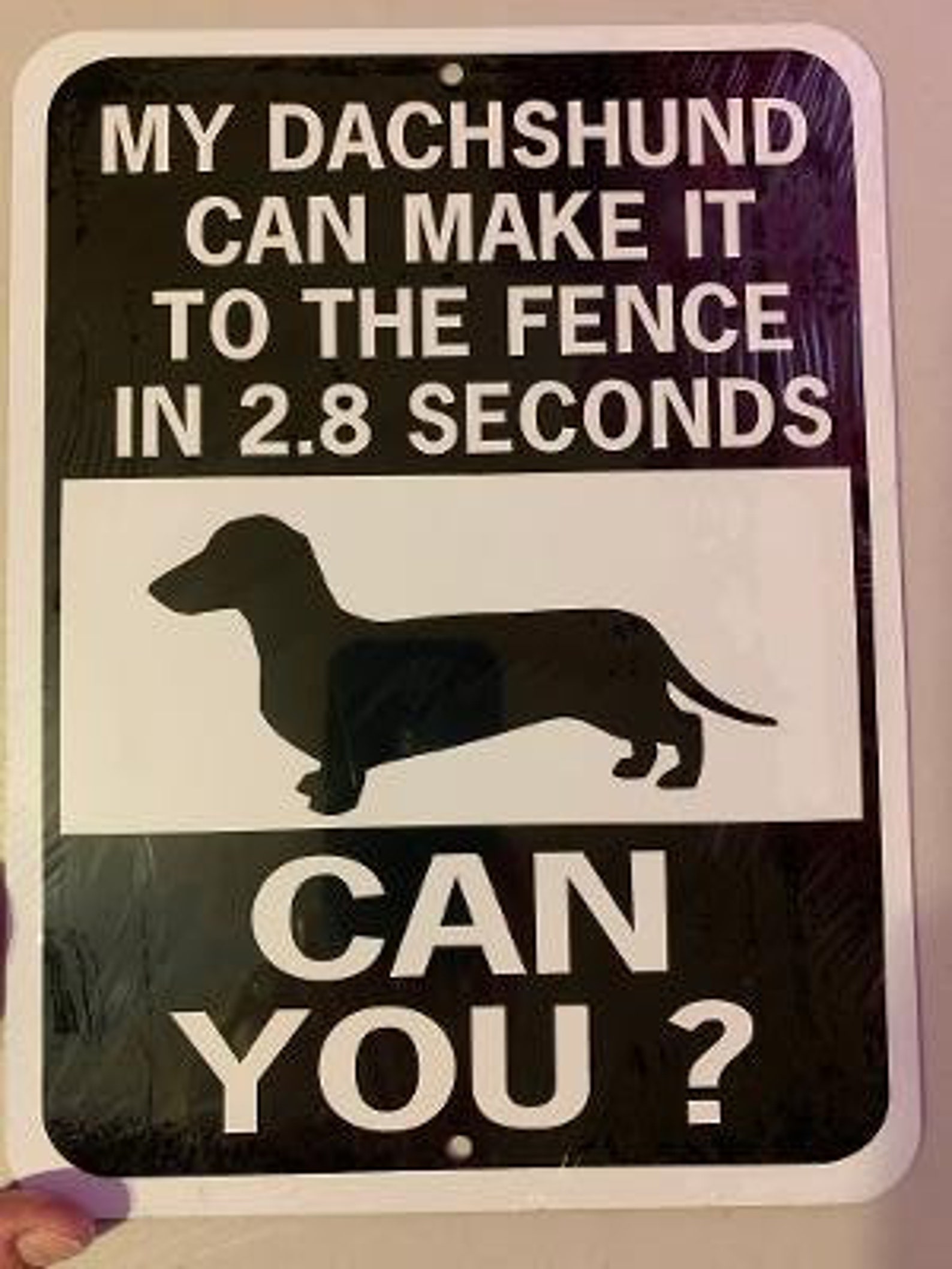 Dachshund Funny Aluminum Yard Sign Designs Weiner Dog - Etsy