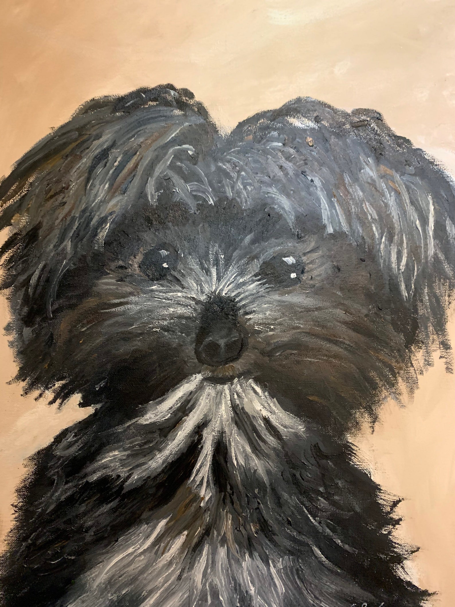 Portrait of Black and White Yorkie Oil Painting on 16x20 Canvas - Etsy