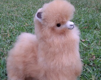 Alpaca | Etsy