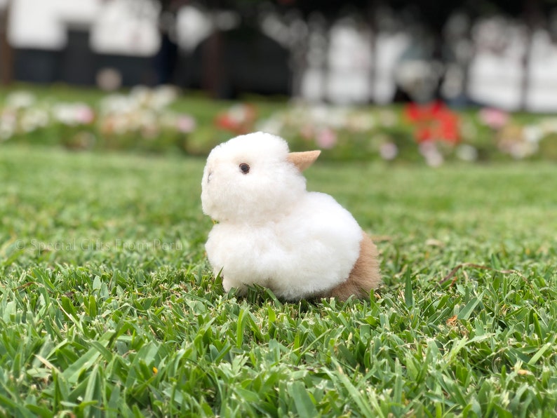 Bulk Bunny Bliss: 30 Alpaca Fur Bunnies - Ideal for Events and Gifting ...