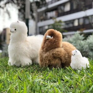 Handmade Mini Alpaca, Llama Love Alpaca Fur Stuffed Animal Ideal for ...