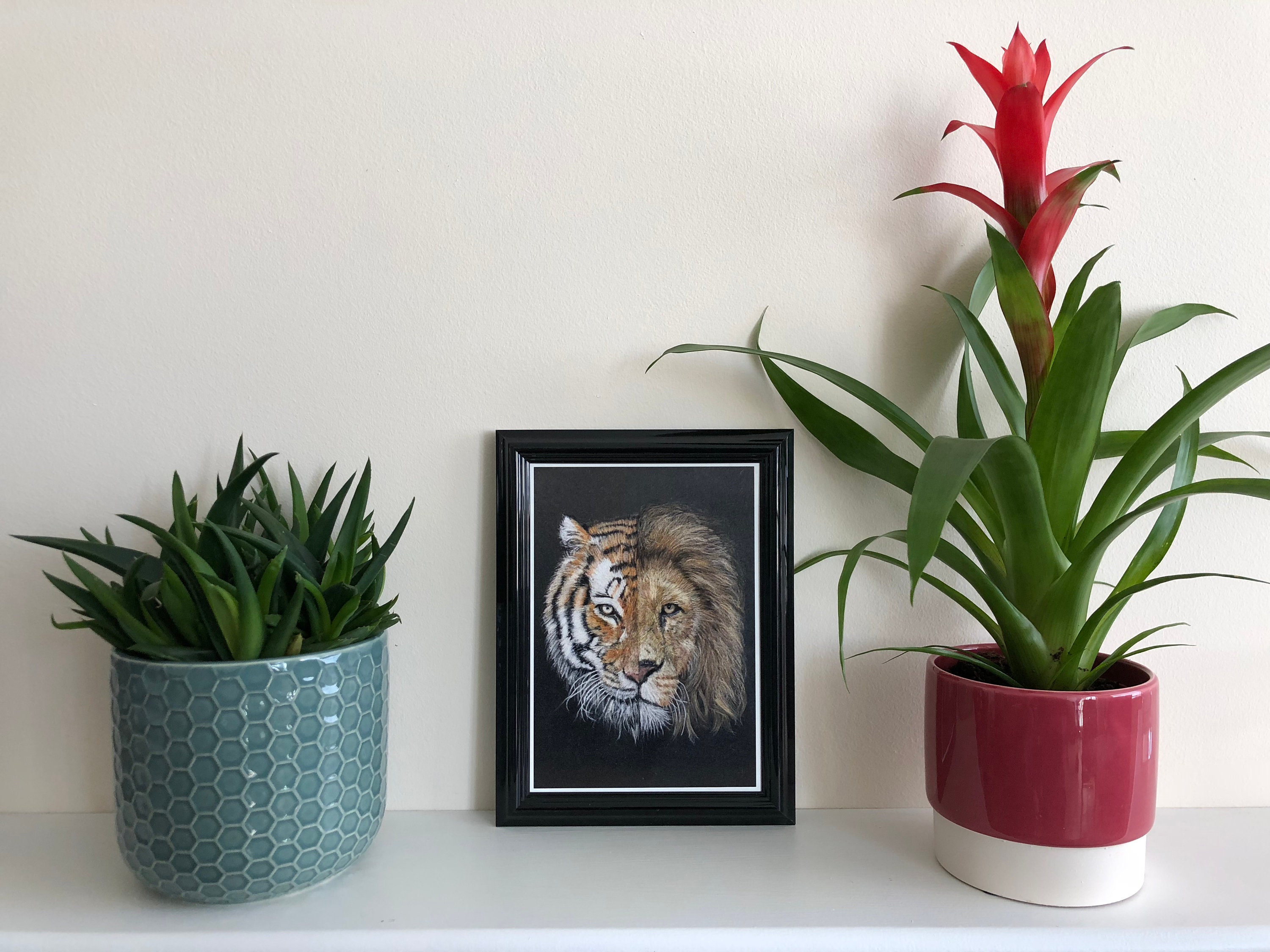 Fine Art Print of Tiger and Lion Drawing - Etsy
