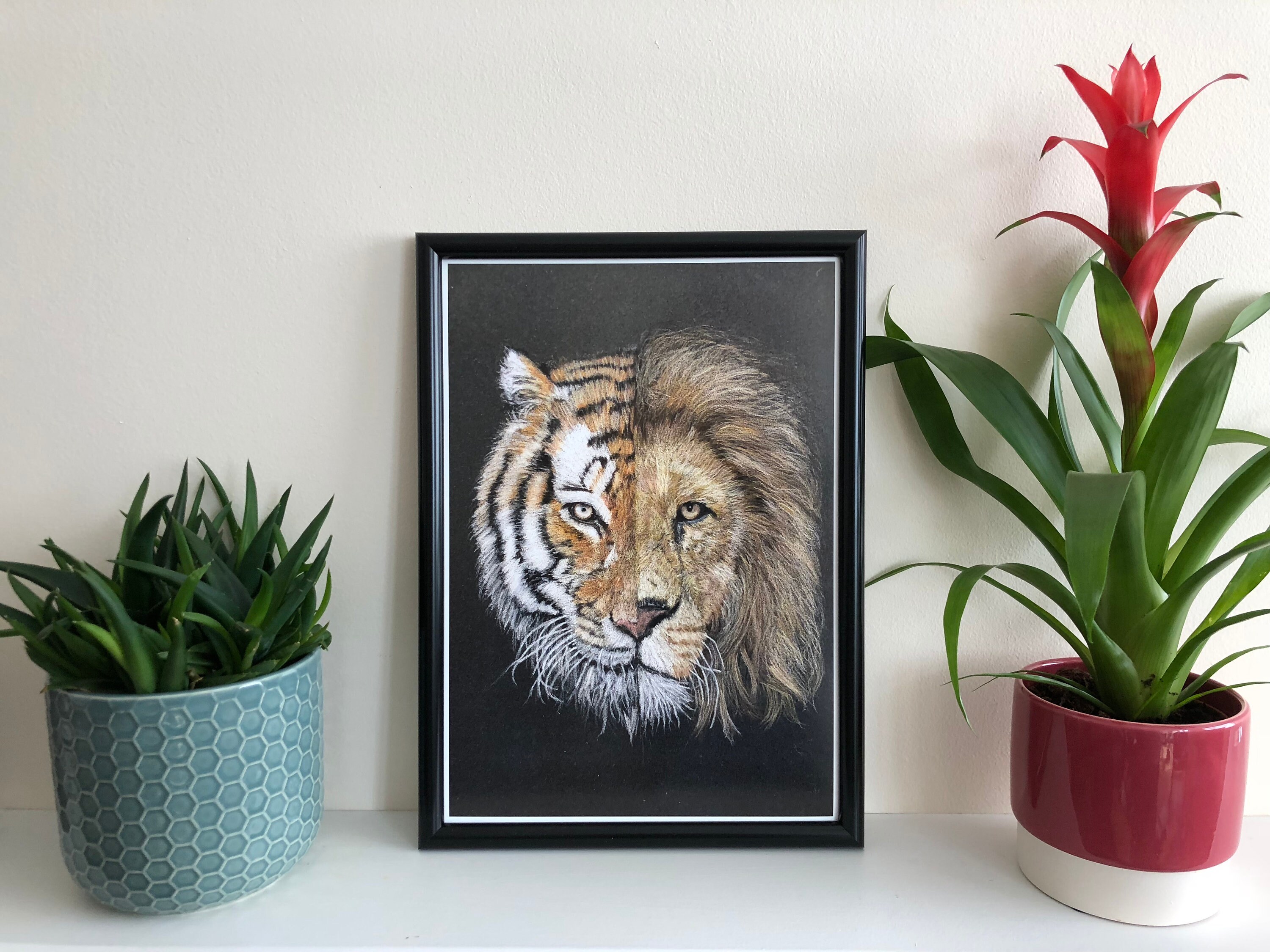 Fine Art Print of Tiger and Lion Drawing - Etsy