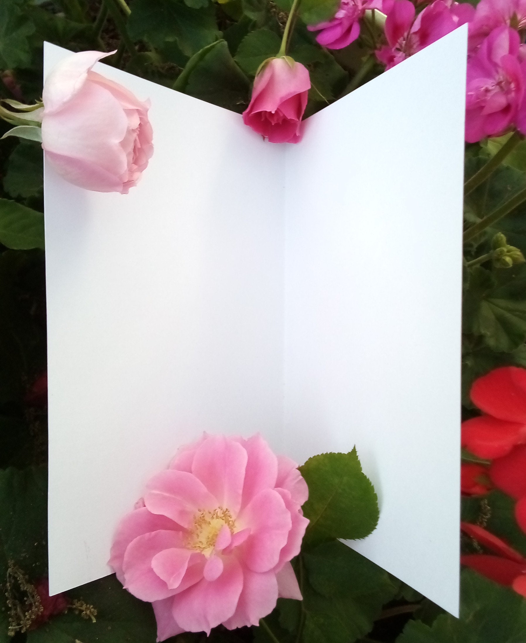 Splatoon: Greeting Card - Etsy