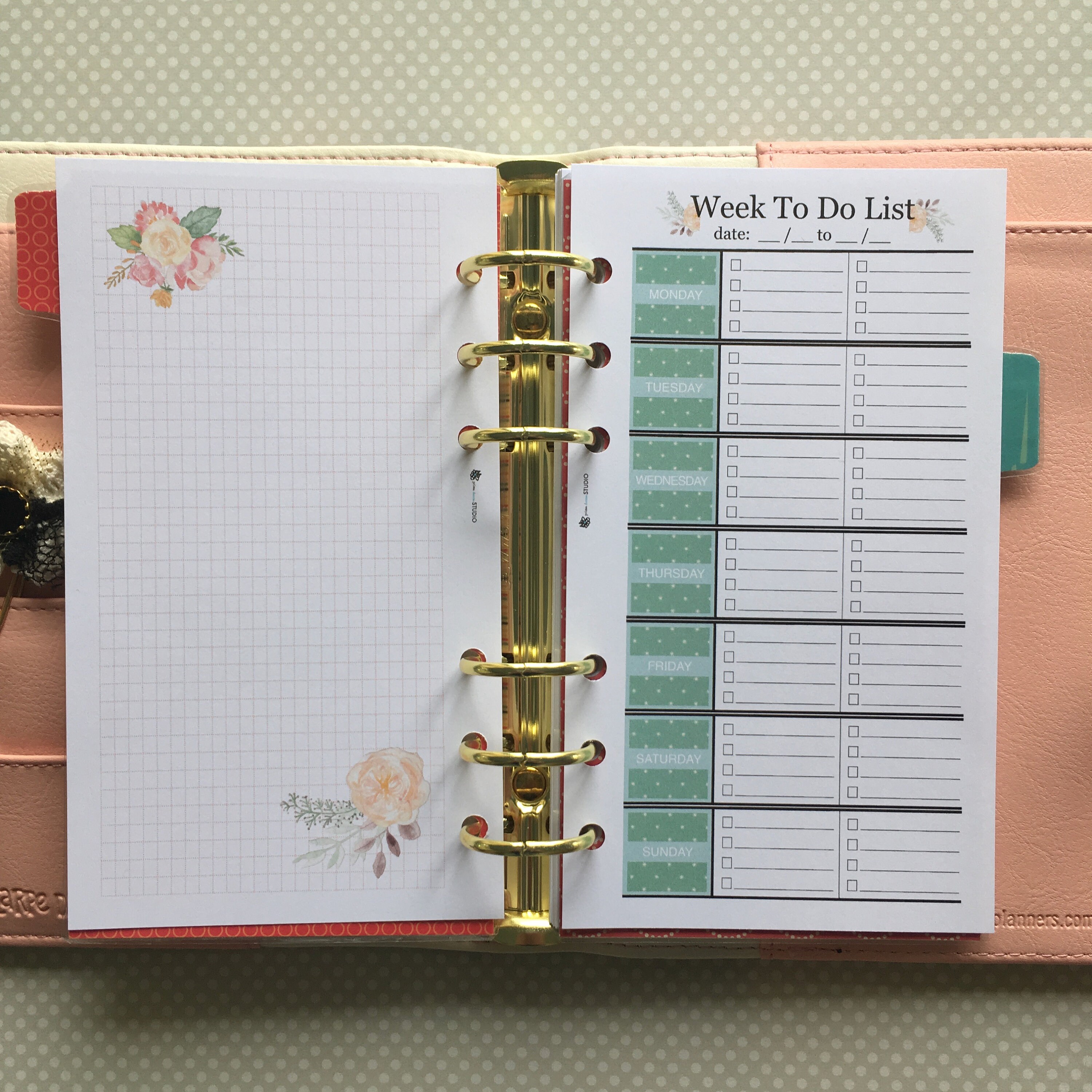 Printed Cat Weekly Tasks Inserts Personal Size - Etsy