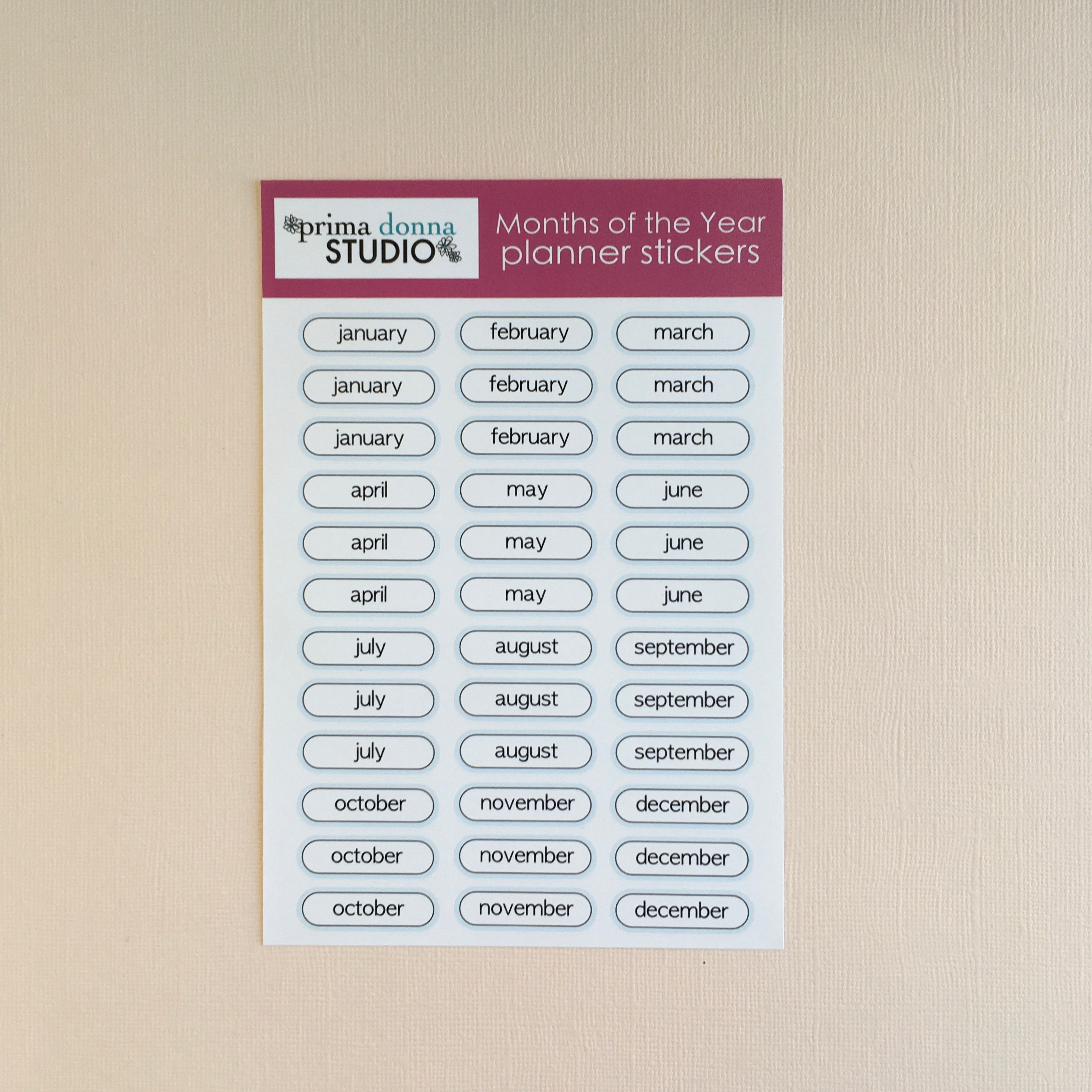 Months of the Year Sticker Sheet / Month Stickers for Planner - Etsy