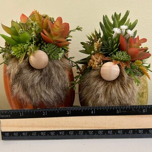 Autumn Pumpkin Gnomes - Etsy