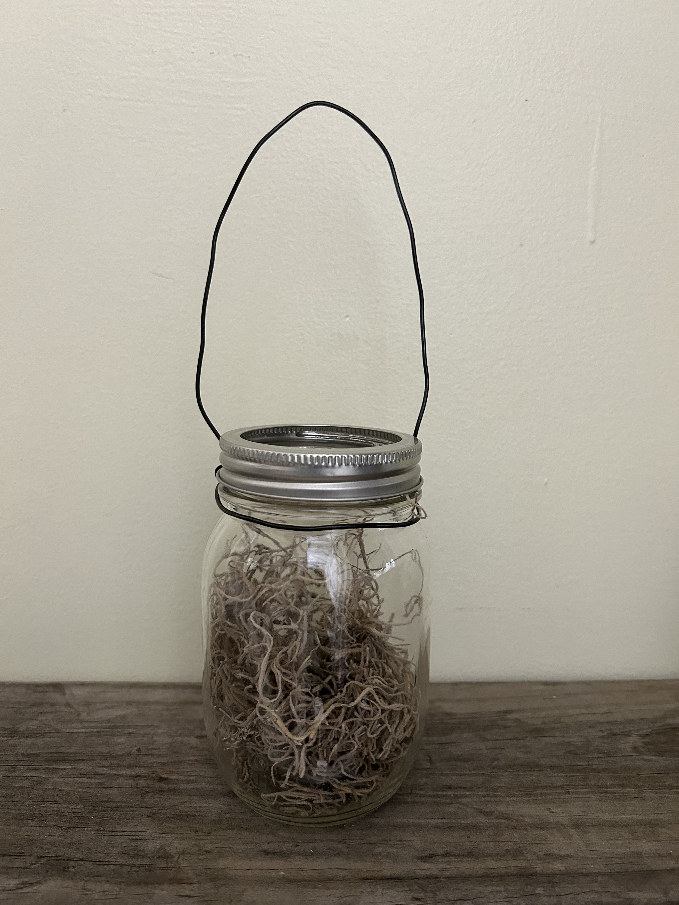 Hanging Mason Jar Graphic