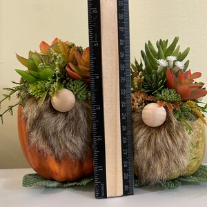 Autumn Pumpkin Gnomes - Etsy