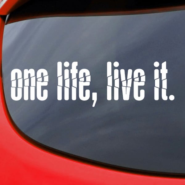 One Life Live It Decal - Etsy