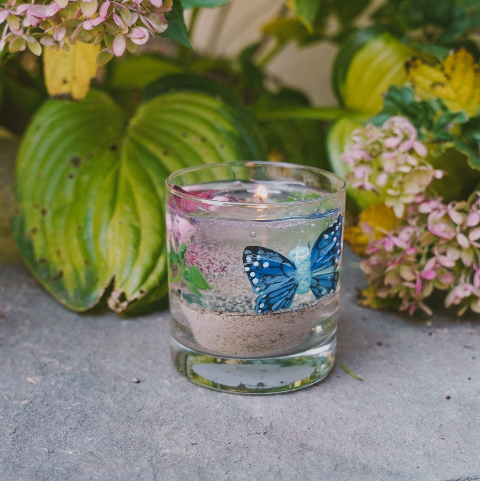 Butterflies Gel Candle - Shalant Candles - Etsy