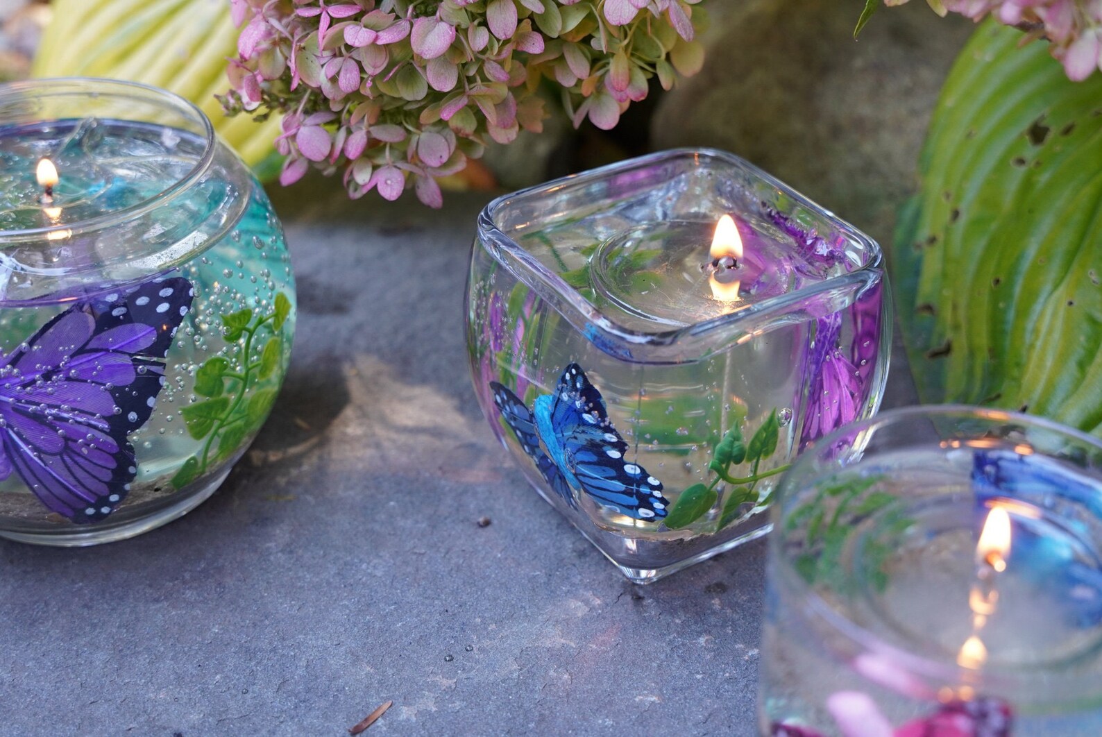 Butterflies Gel Candle - Shalant Candles - Etsy