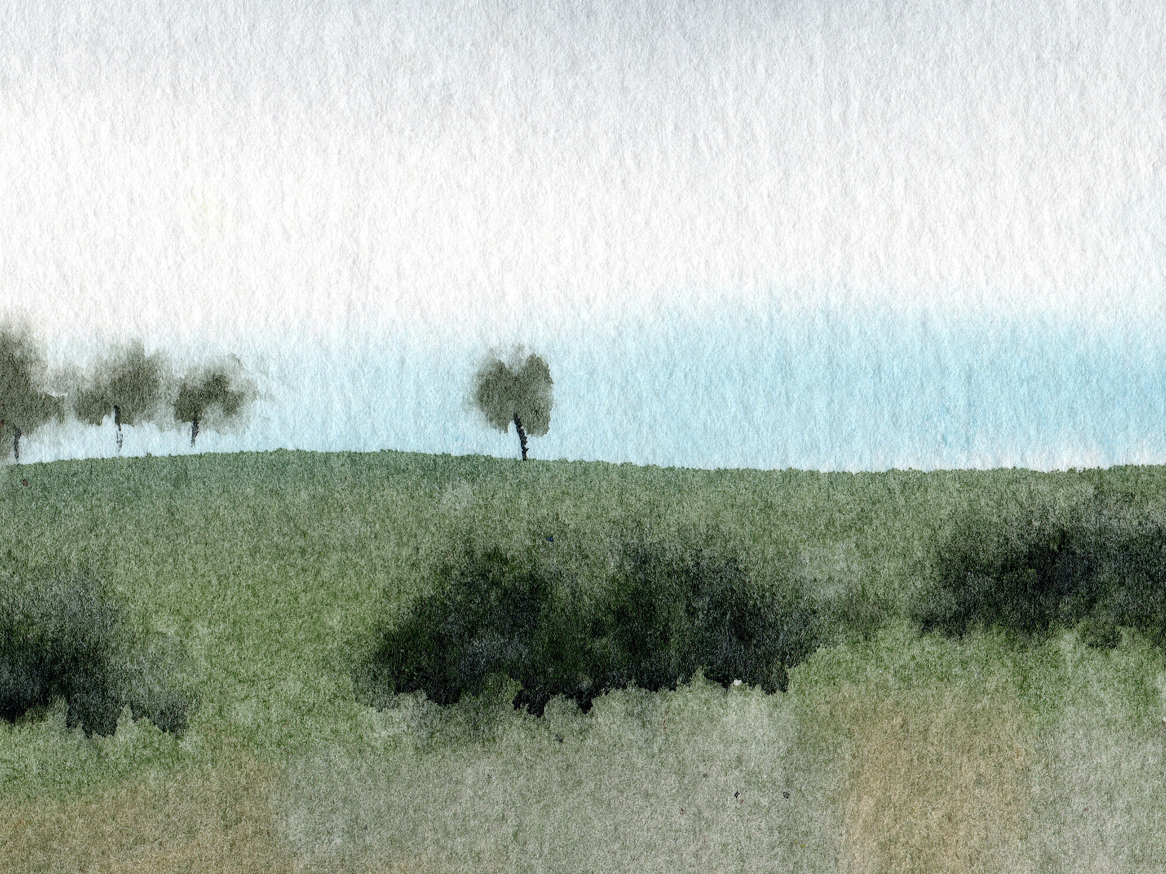 Abstract Watercolor Cotton Plant Field Landscape Printable Wall Art ...