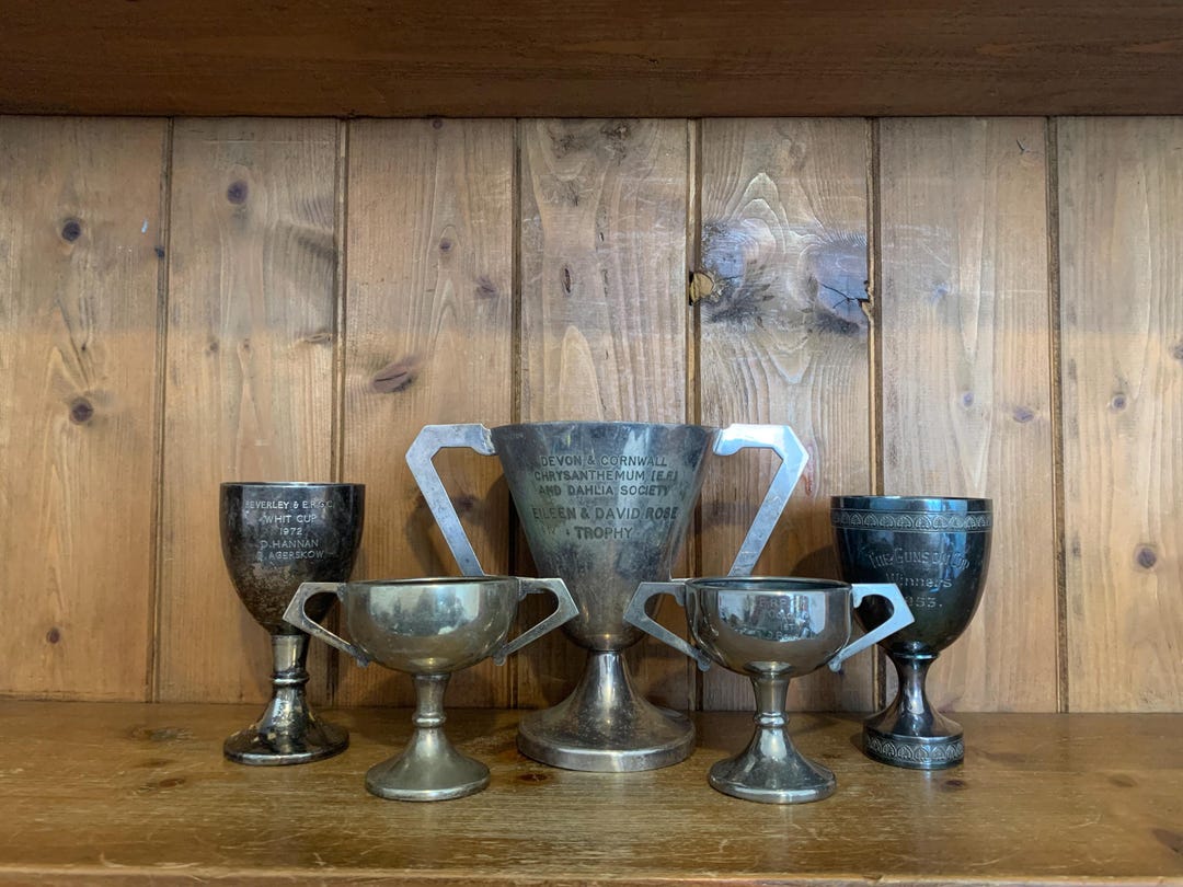5 Vintage Trophies (40), Silver Plate Trophies, Trophy, Trophies ...