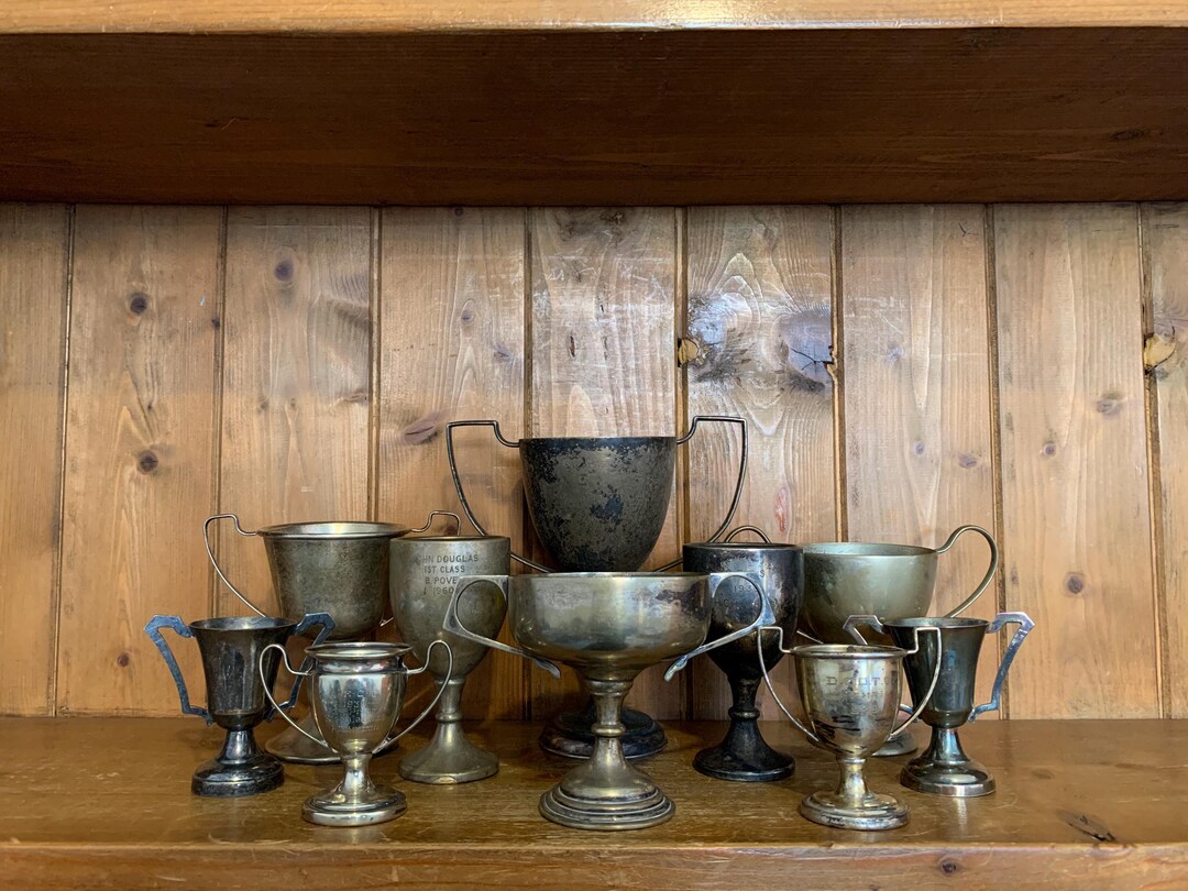 Vintage Collection of 10 Silver Plate Trophies, Trophy, Trophies ...