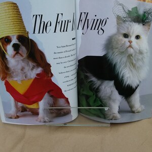 Vanity Fur Magazine (vanity Fair), 1988 Parody by Ilene Hochberg ...