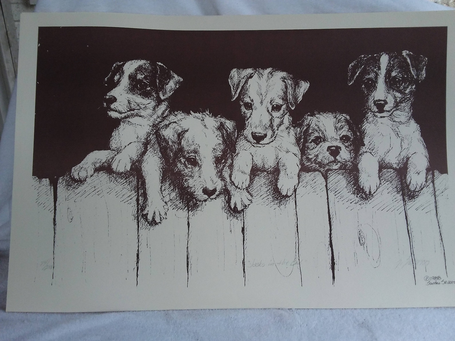 Jack Russell Terrier Dog Art Print jack's in the Box by Sandra Severson ...