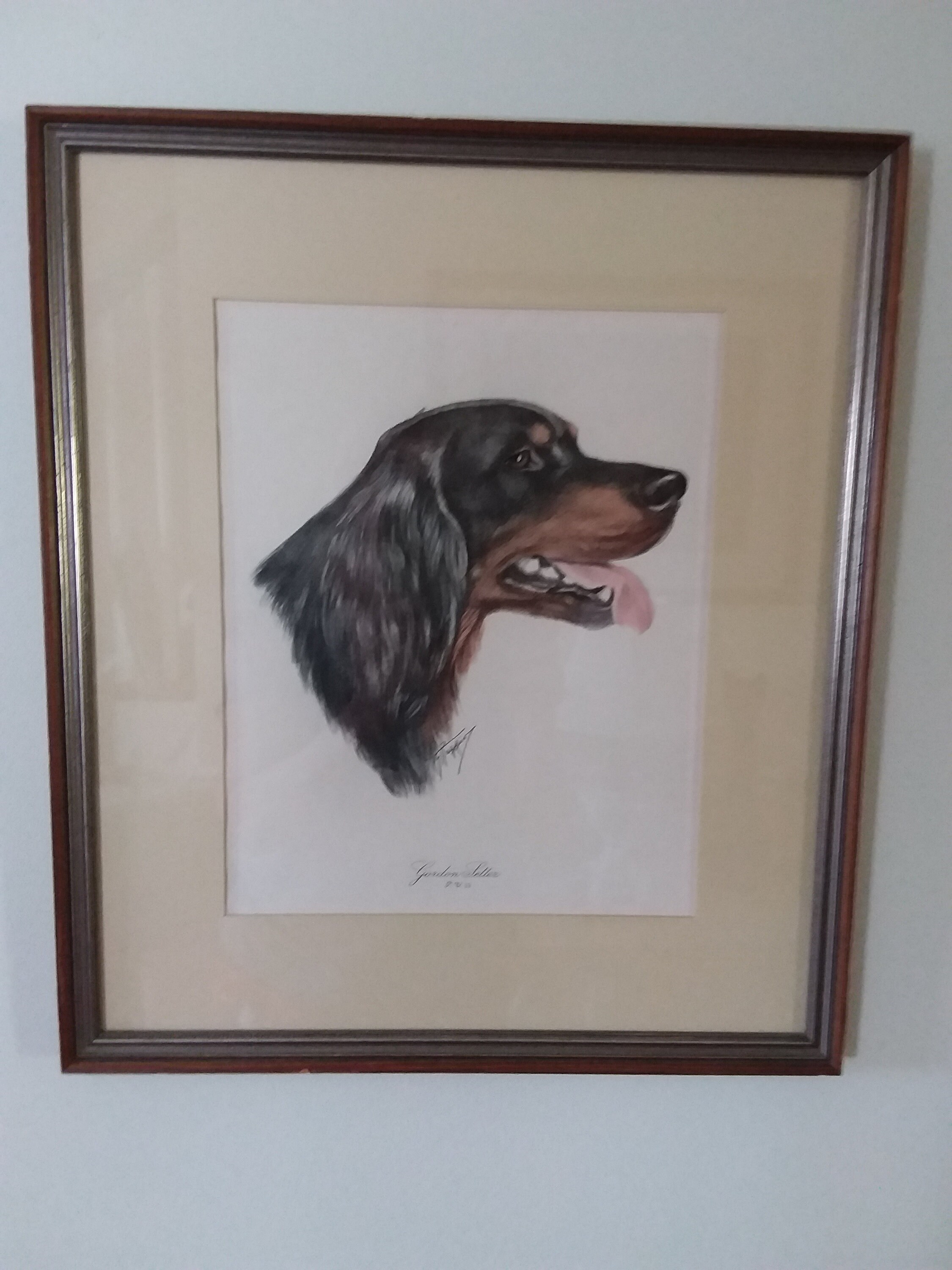 Vintage Gordon Setter Dog Art Print by S. Reggio - Etsy UK