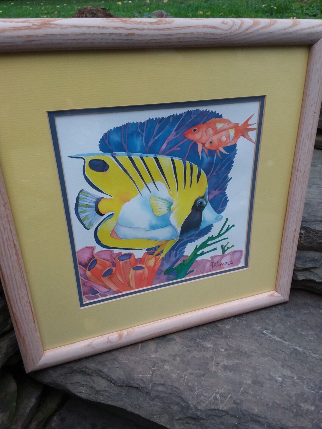 Vintage Lithograph of Tropical Fish in the Reef by J A Dewitt,matted ...