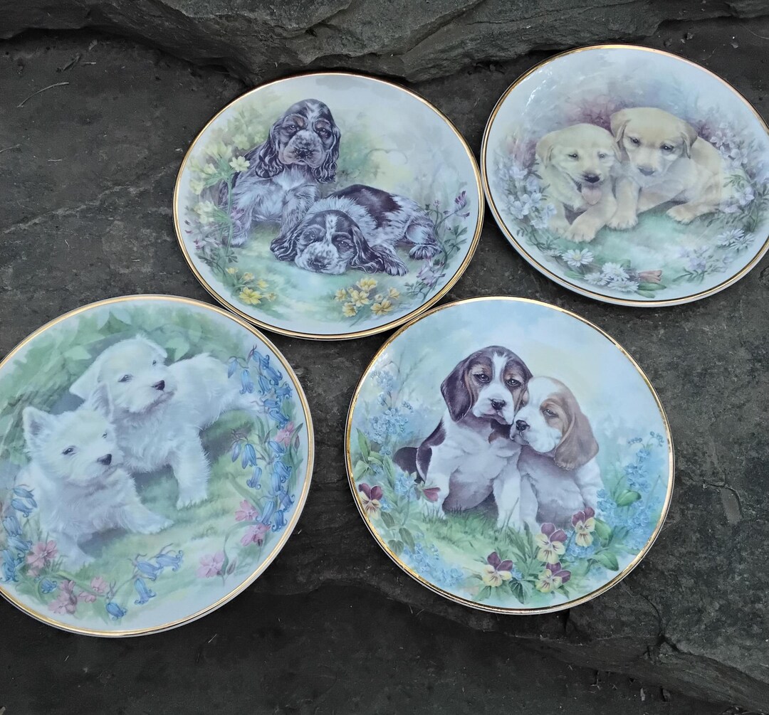 Vintage AJL Giftware Collector Dog Plates With Gold Ttim, Spaniel ...